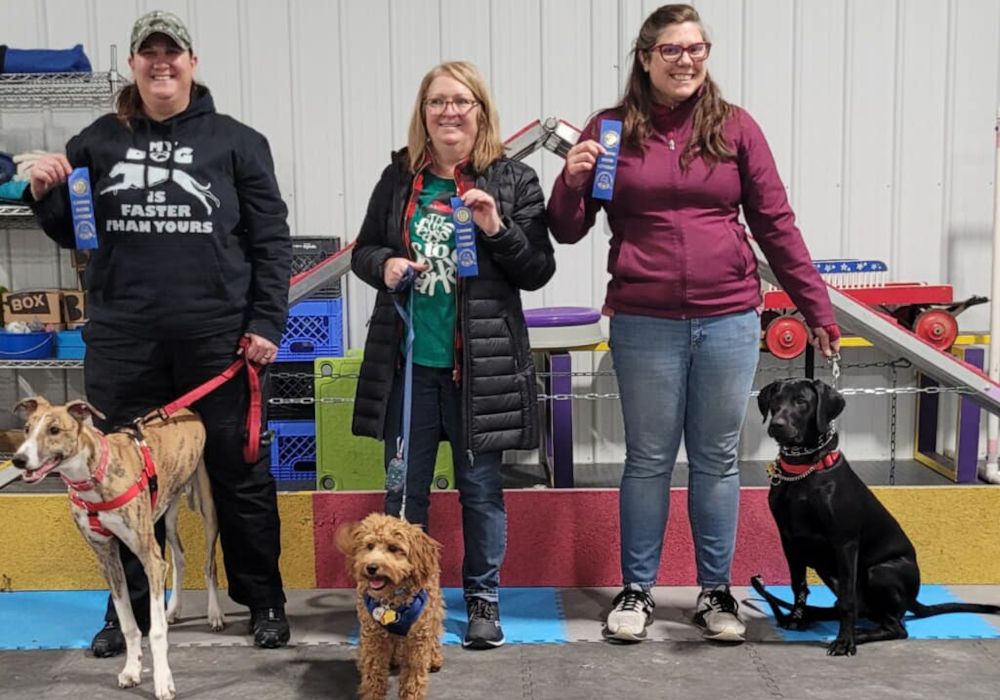 Dog Training - Cramer Canine Consulting- Classes